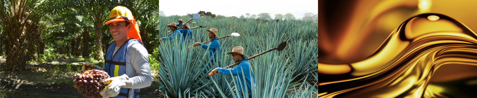 OLEOMEX