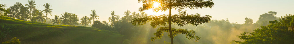 Sustentabilidad - OLEOMEX